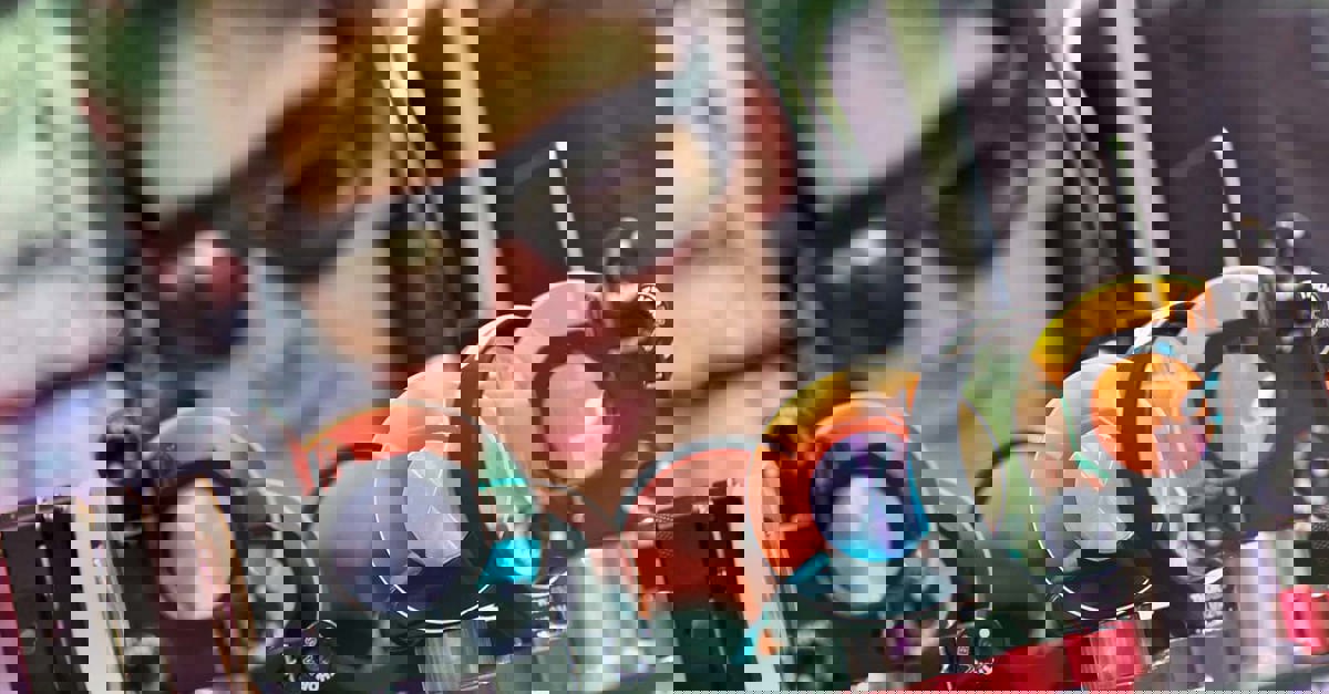 Quantum drive: Boosting the commercial potential of tech innovations